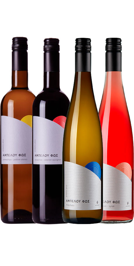 Αμπέλου Φως | Zacharias Wines